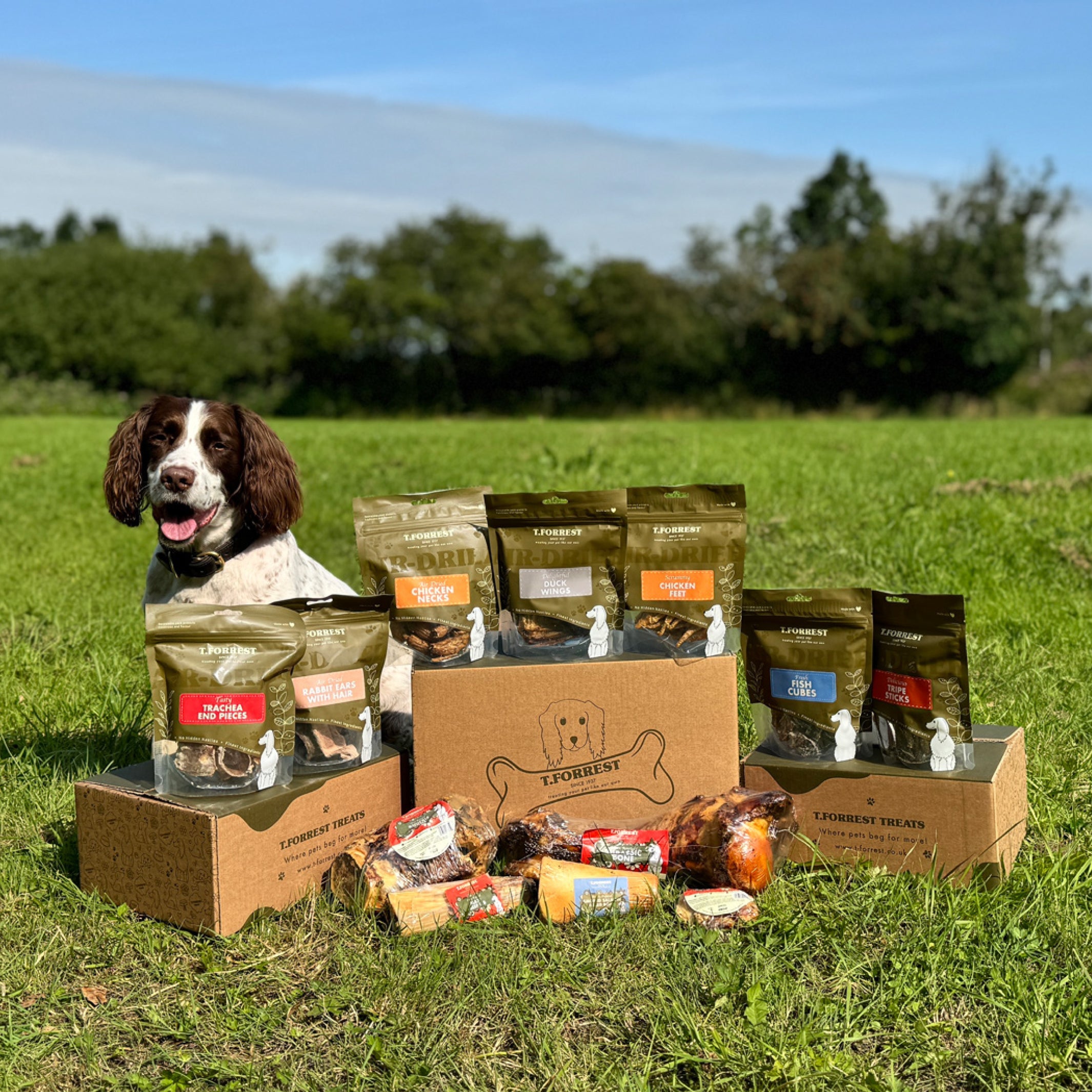 100% Natural Dog Treats | UK - Free Next Day Delivery – T.Forrest
