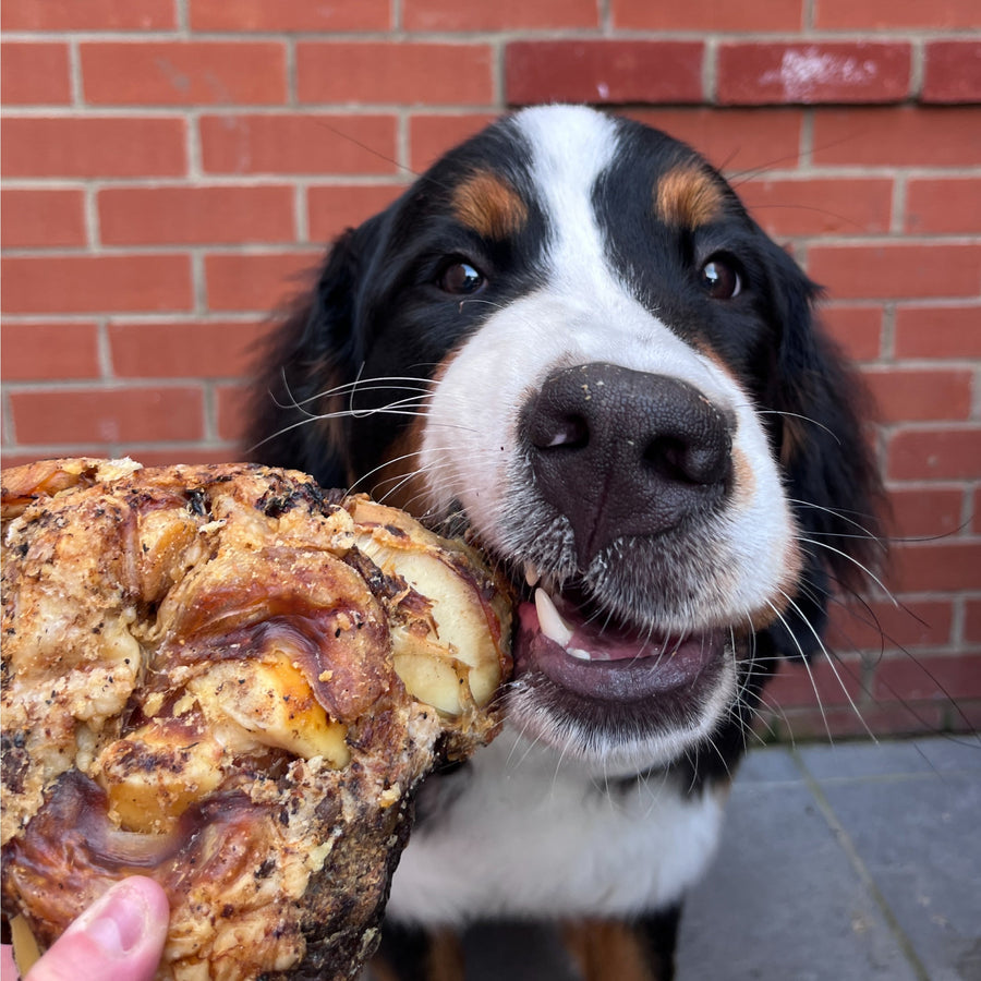 Natural & Healthy Dog Treats | Free Next Day Delivery – T.Forrest