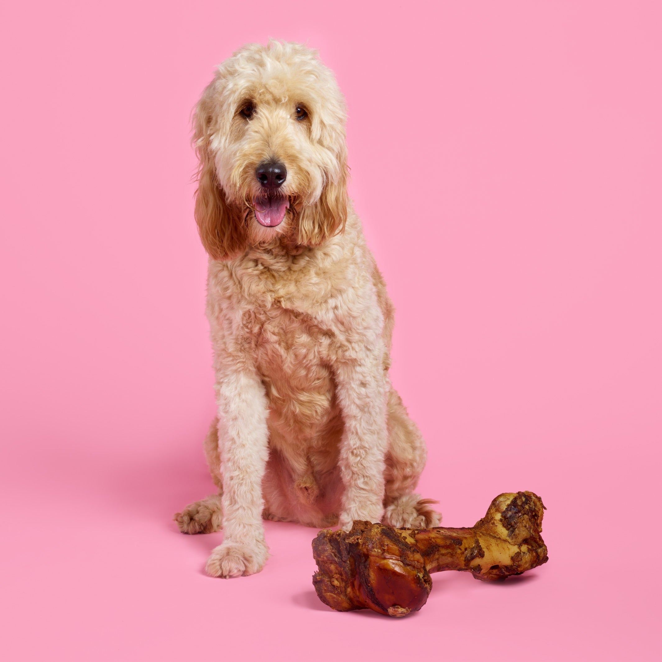 Bones For Dogs | Dog Bone Treats | UK - T.Forrest