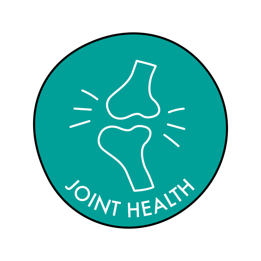 Natural & Healthy Dog Treats | Free Next Day Delivery – T.Forrest