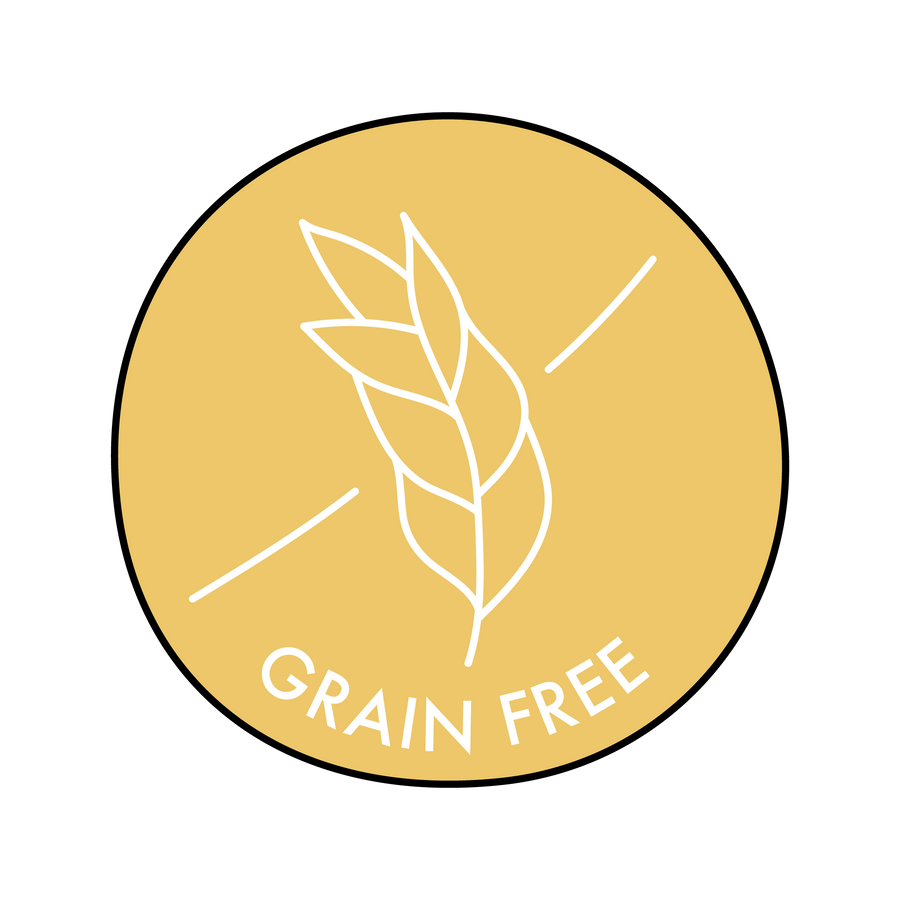 Natural & Healthy Dog Treats | Free Next Day Delivery – T.Forrest