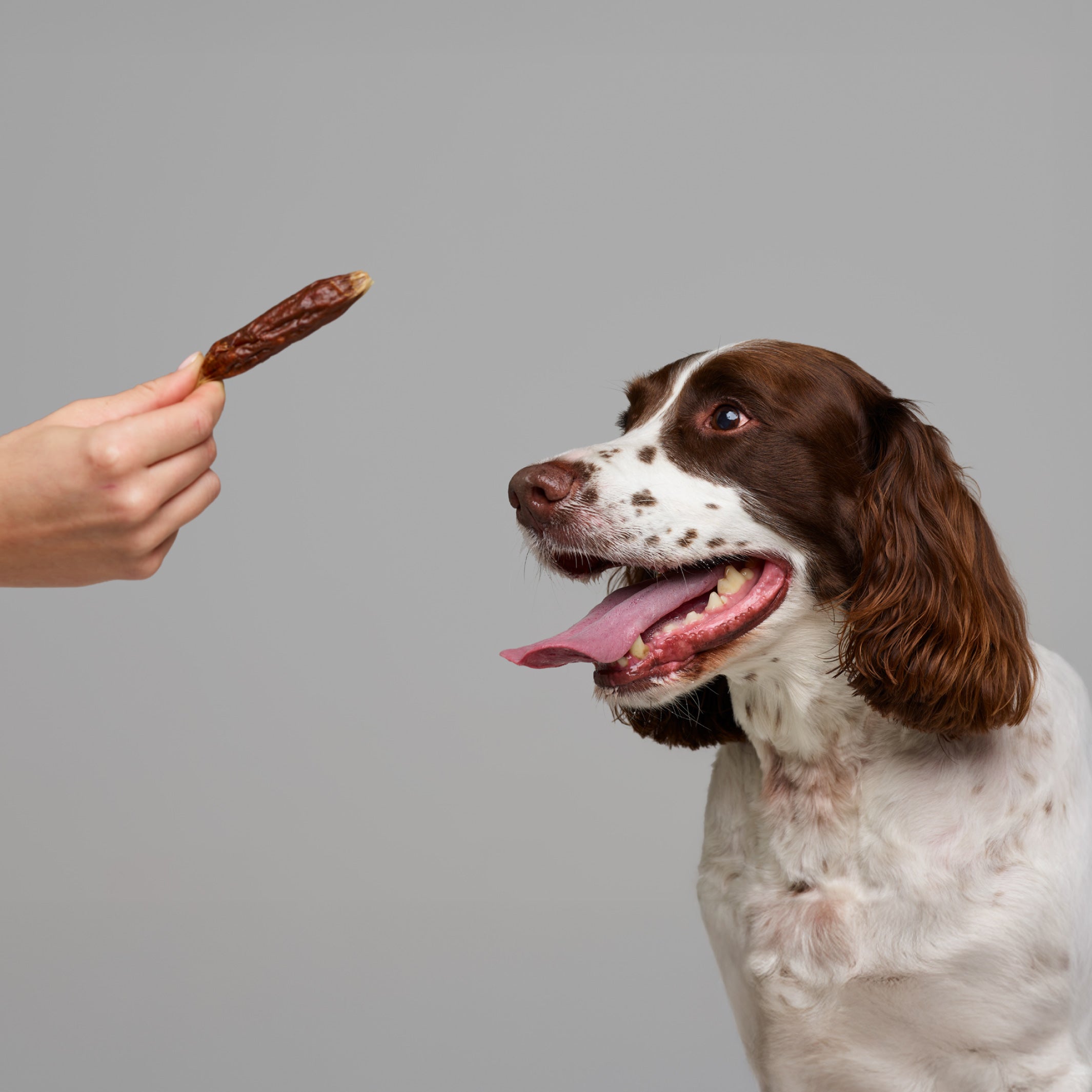 Dog Sausages | Air Dried Sausage Treats for Dogs – T.Forrest