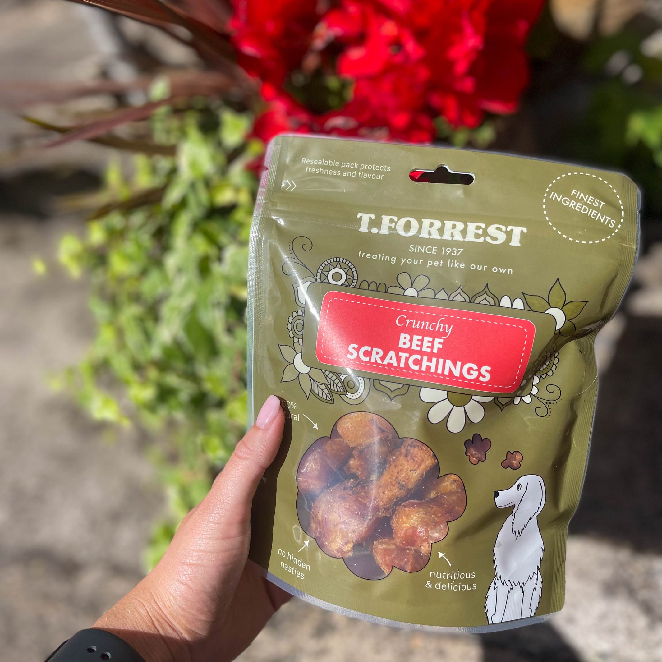 Beef Scratchings For Dogs - T.Forrest